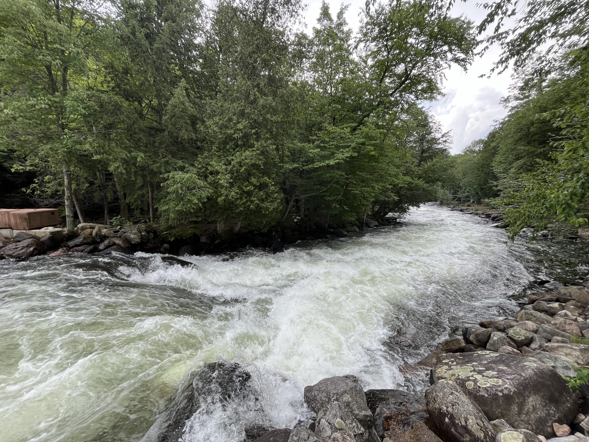 The Gull River - Whitewater Ontario