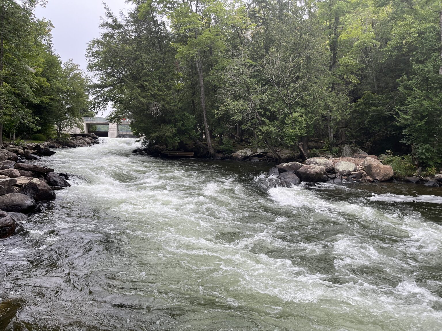 The Gull River - Whitewater Ontario